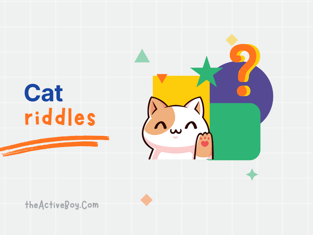 70+ Best Cat Riddles That'll Make Your Heart Think!