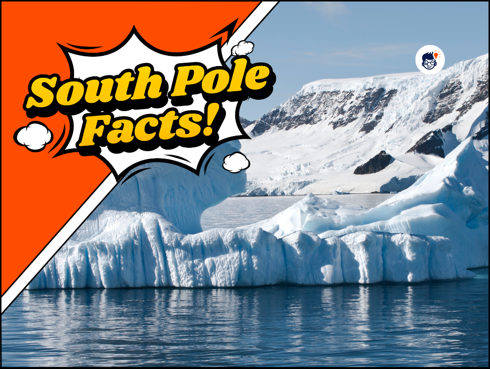 19+ South Pole Facts You Might Know! (Free Printables)