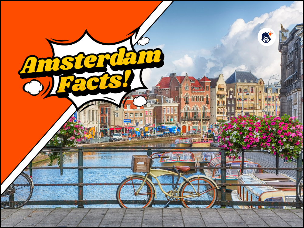20 Untold Amsterdam Facts that No One Knows