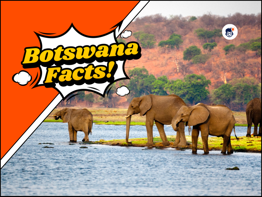 23 Fantastic Botswana Facts That No One knows