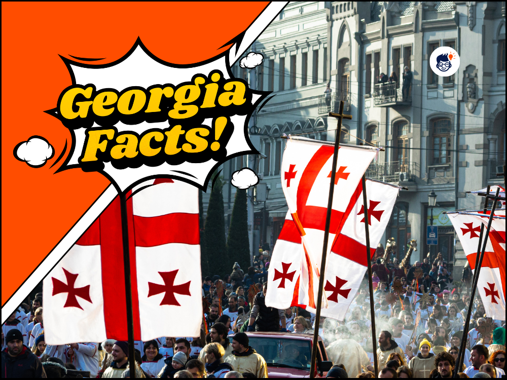 47+ Amazing Georgia Facts that You Should Know