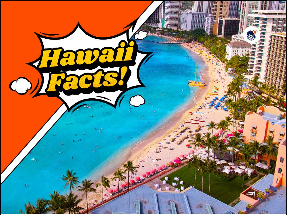 24 Interesting Hawaii Facts That Will Leave You Speechless