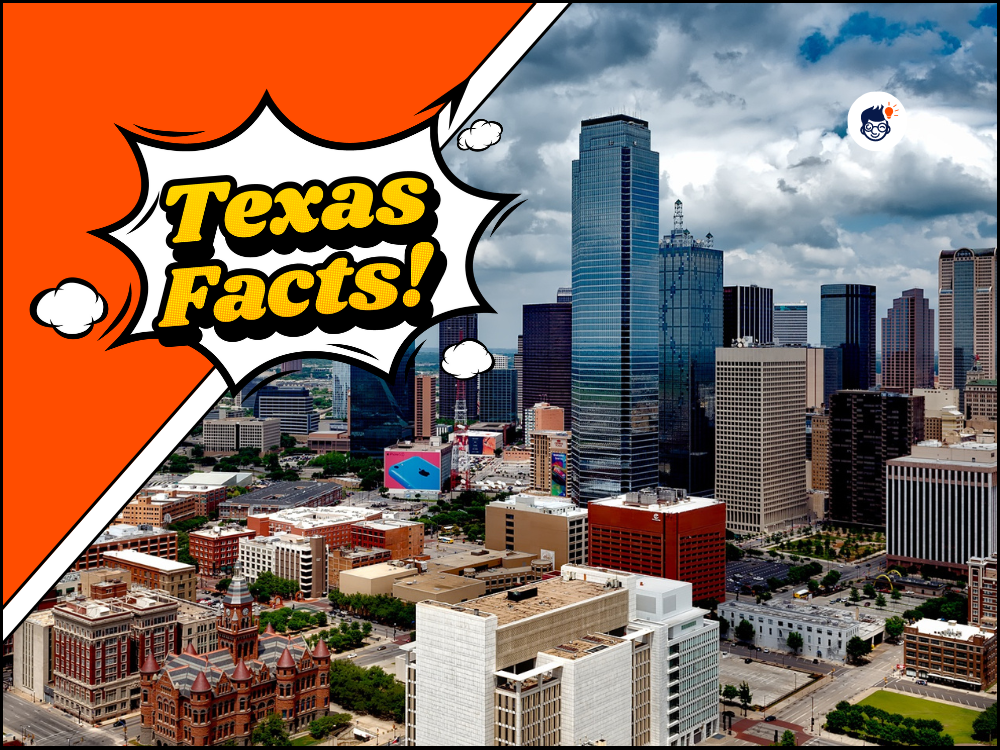 38 Amazing Texas Facts that You Should Know