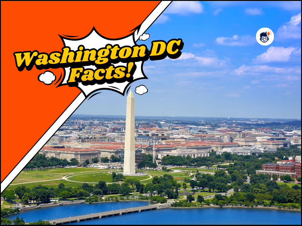 30+ Best Washington DC Facts that No One Knows
