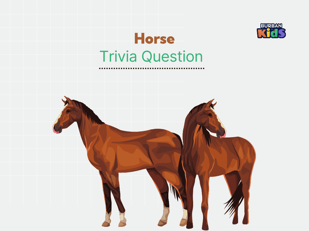 207+ Horse Trivia Questions From mustangs to mares!