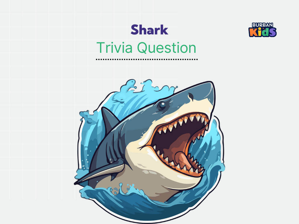 106+ Shark Trivia Questions To Test Your Oceanic IQ!