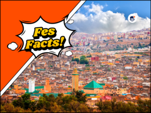 20 Best Fes Facts that No One Knows