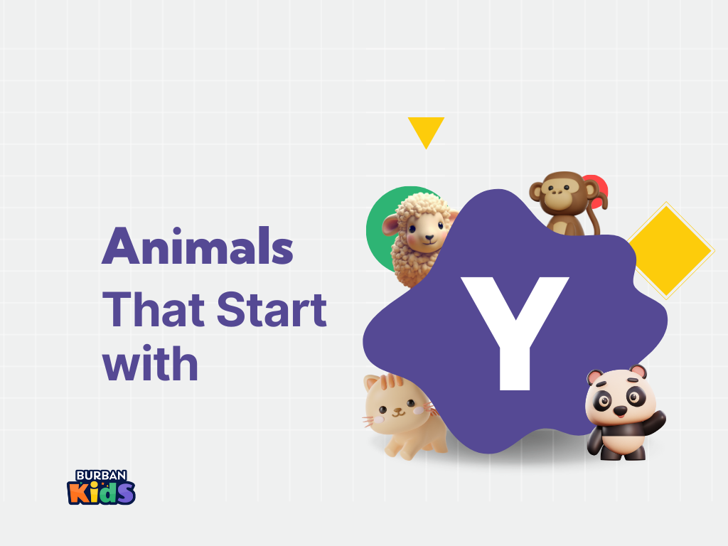 31+ Animals that Start with Y in English