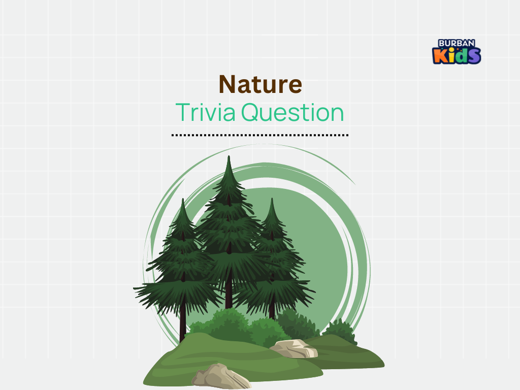 105+ Nature Trivia Questions for Ecological Exploration!
