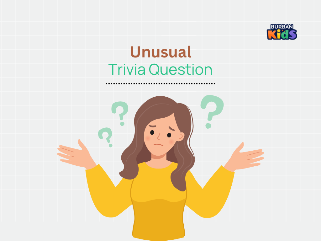 159+ Unusual Trivia Questions Will Make You Do a Double Take!