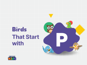100+ Birds that Start with P in English