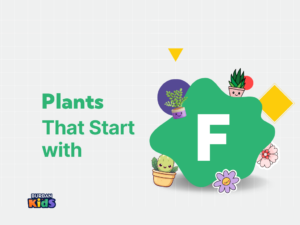 29+ Gorgeous Plants That Start With F