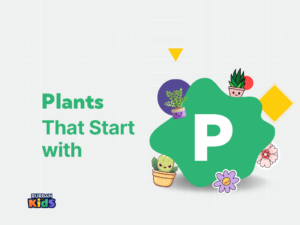 30+ Pretty Plants That Start With P