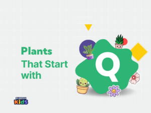 30+ Beautiful Plants That Start With Q