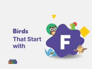 77+ Birds that Start with F in English