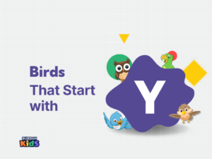 100+ amazing Birds that Start with Y in English